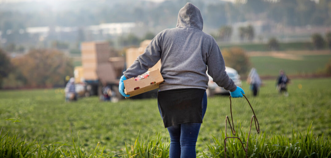 IPA monitort vooruitgang regelgeving arbeidsmigranten - Flexmarkt
